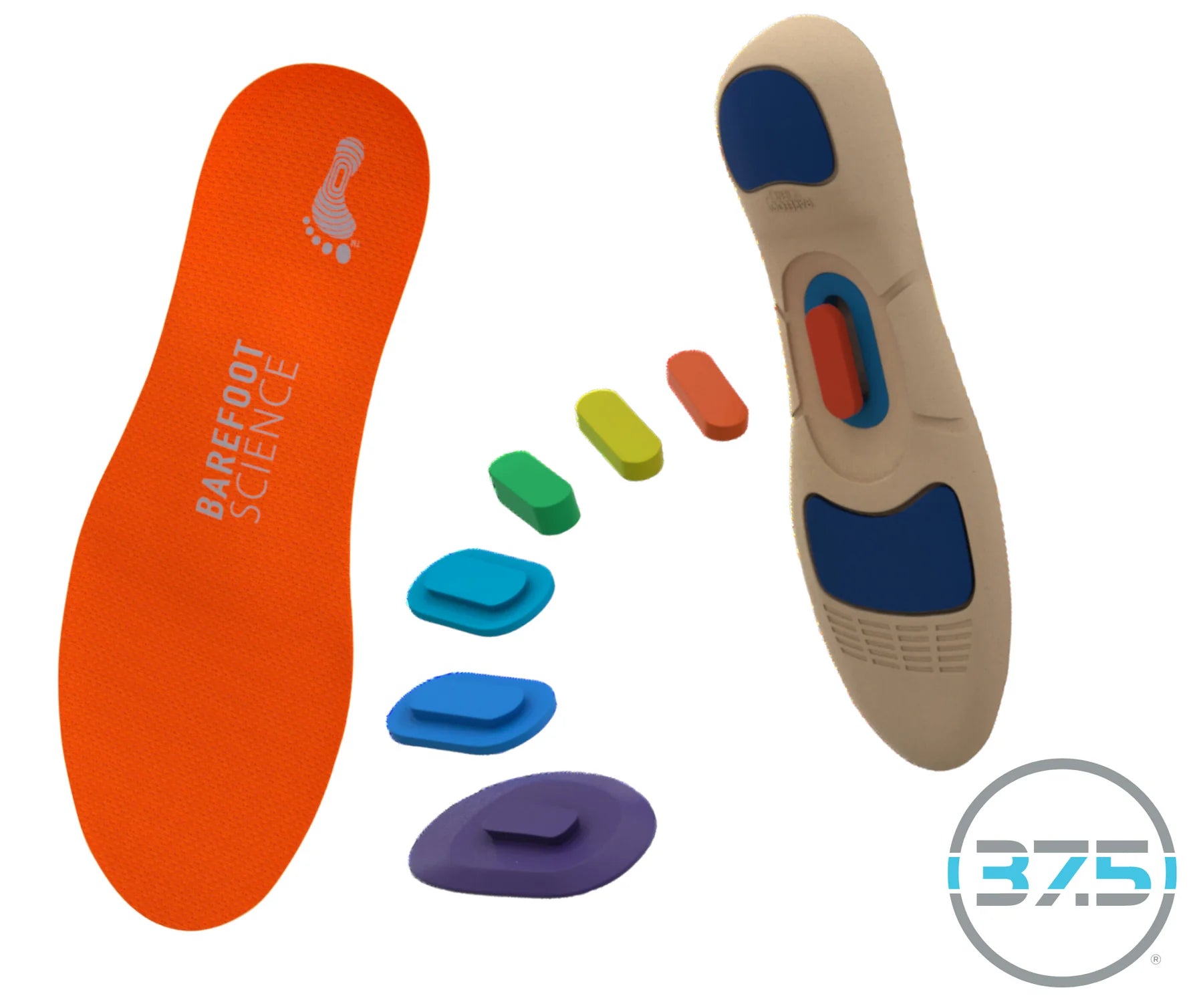 Active Full Length (7-step version) – Barefoot Science Australia